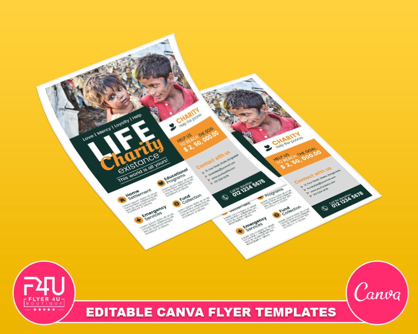 Fundraiser Flyer DIY Canva Fundraiser Flyer Template 2022 - Etsy