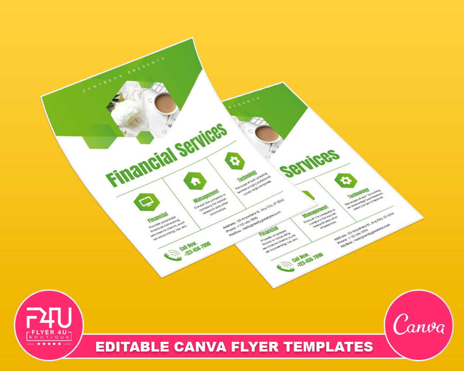 Financial Services Flyer, DIY Canva Financial Services Flyer Template ...