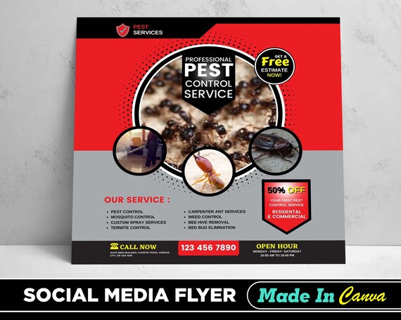 Fumigation Service Flyer DIY Canva Fumigation Service Flyer - Etsy