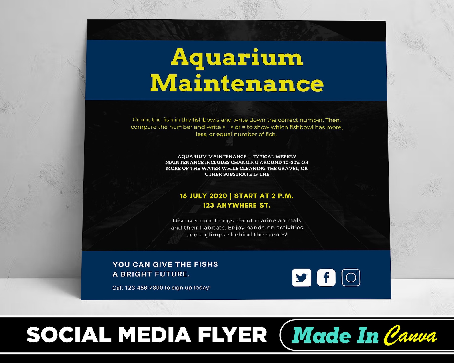 Aquarium Maintenance Flyer, DIY Canva Aquarium Maintenance Flyer ...