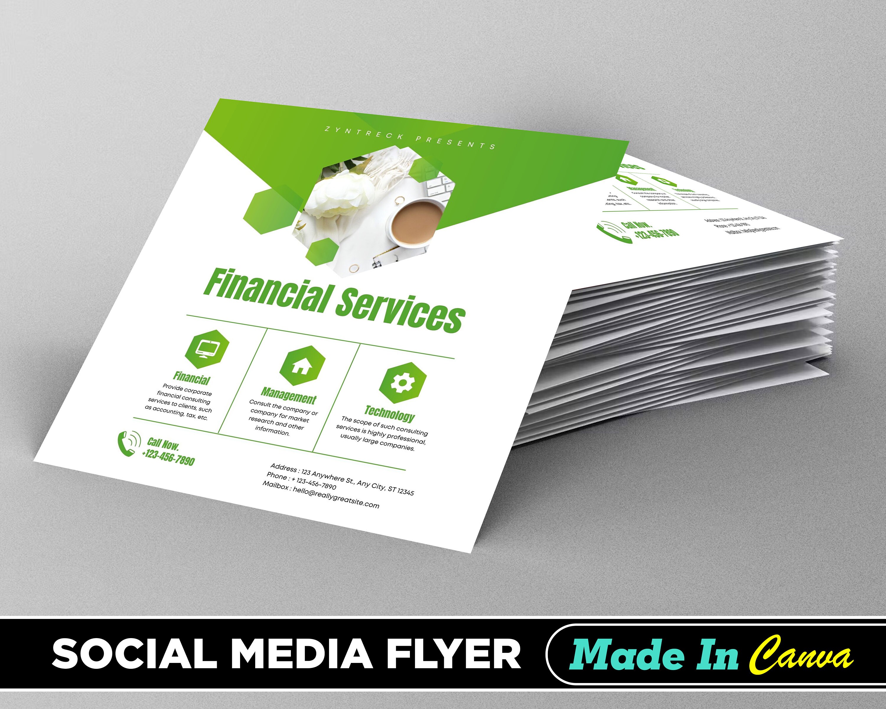 Financial Services Flyer, DIY Canva Financial Services Flyer Template ...