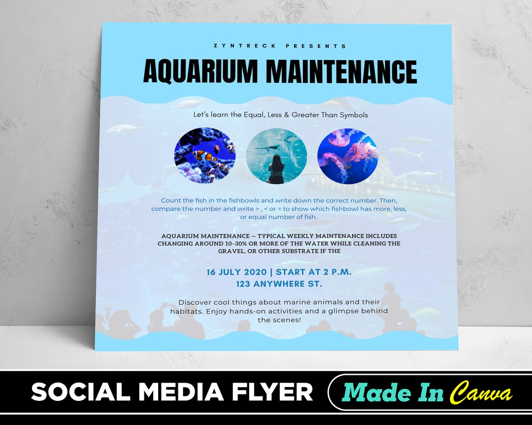 Aquarium Maintenance Flyer, DIY Canva Aquarium Maintenance Flyer ...