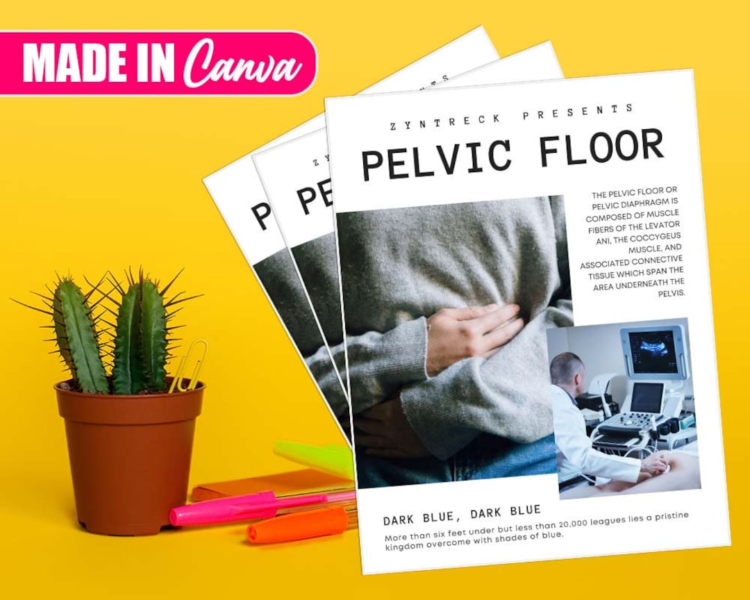 Pelvic Floor Flyer Diy Canva Pelvic Floor Templates Editable Etsy