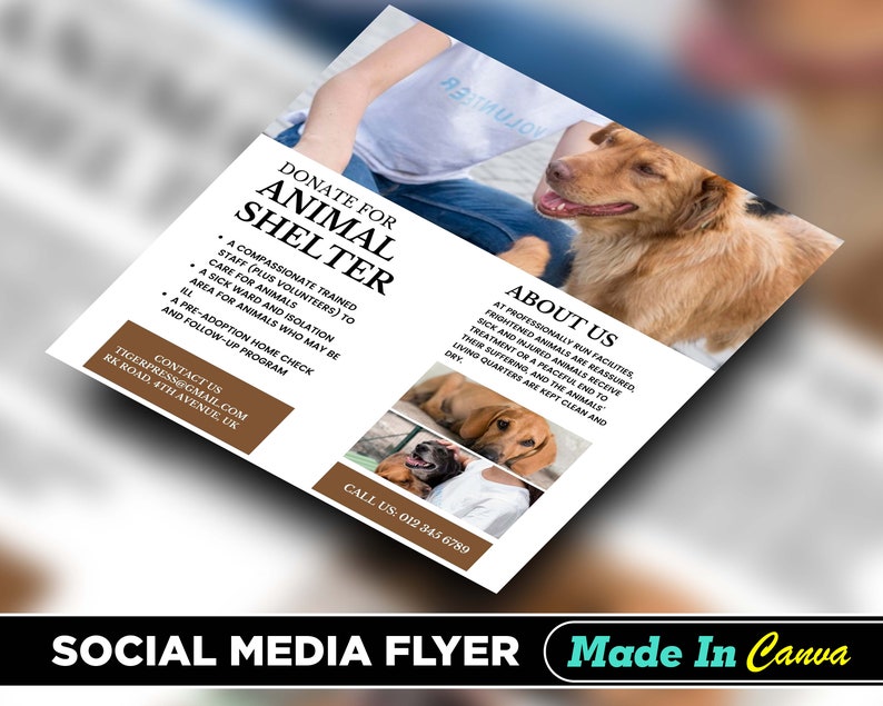 Animal Shelter Flyer, DIY Canva Animal Shelter Flyer Template 2022 ...
