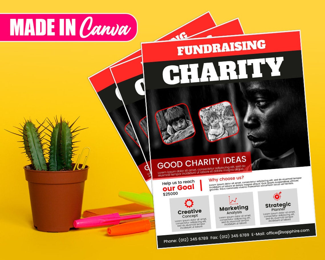 Fundraiser Flyer DIY Canva Fundraiser Flyer Template 2022 - Etsy