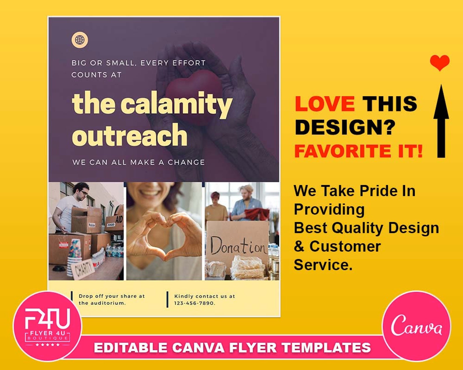 Donation Flyer, DIY Canva Donation Flyer Template, Editable Canva US Letter Size Flyer for ...