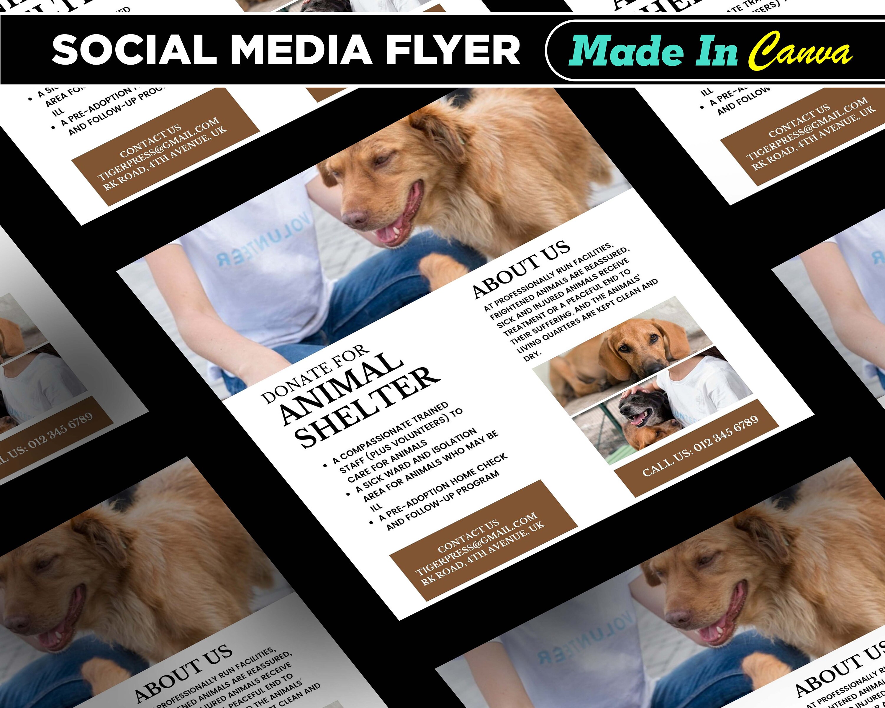 Animal Shelter Flyer, DIY Canva Animal Shelter Flyer Template 2022 ...