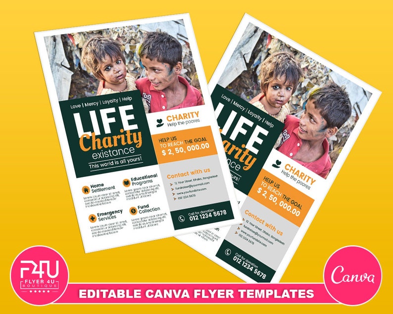 Fundraiser Flyer, DIY Canva Fundraiser Flyer Template 2022, Editable ...