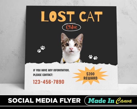 Missing Cat Flyer DIY Canva Missing Cat Flyer Template 2022 - Etsy