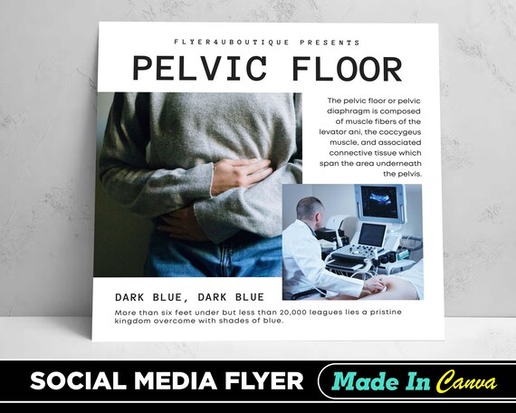 Pelvic Floor Flyer Diy Canva Pelvic Floor Flyer Template Etsy