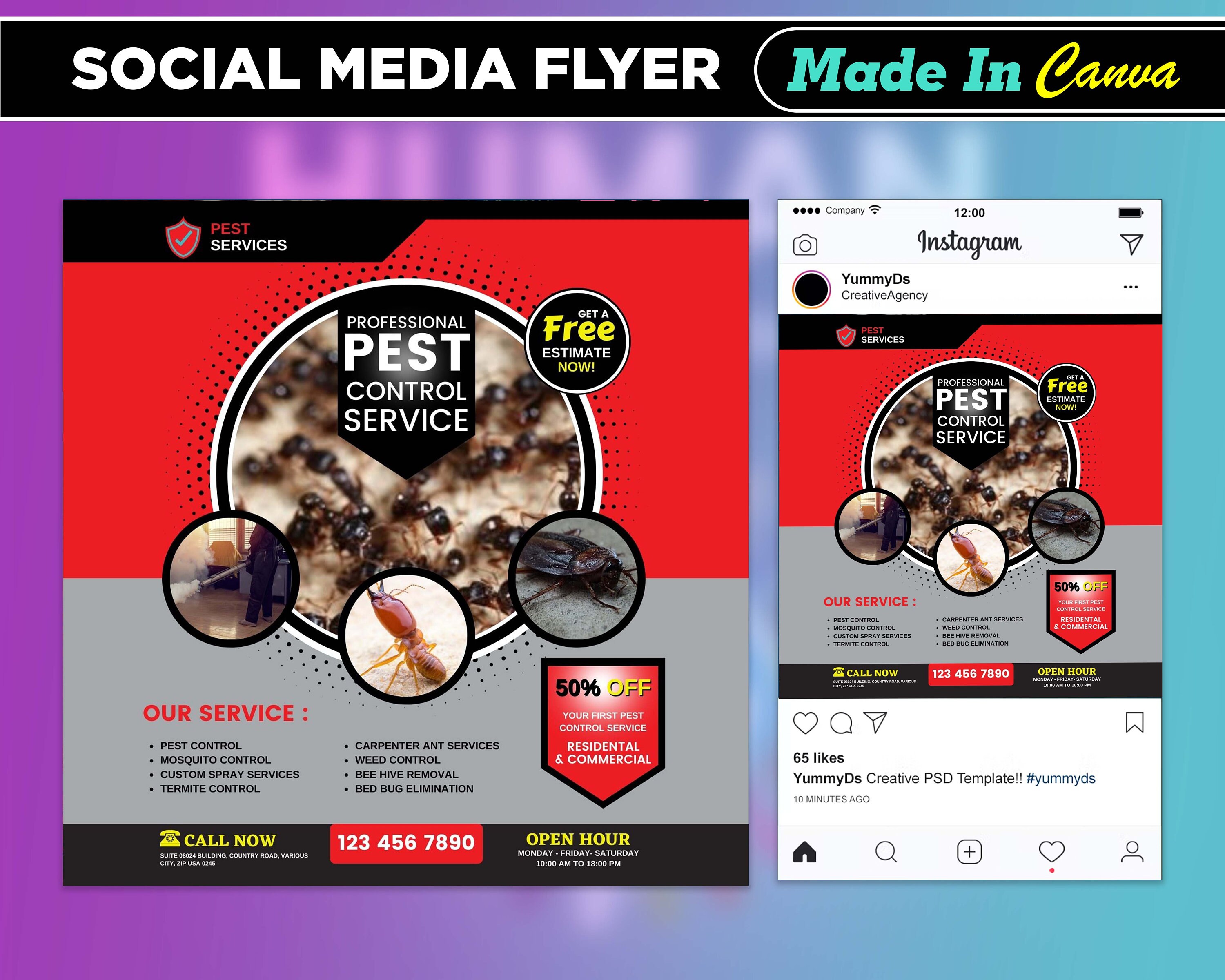 Fumigation Service Flyer DIY Canva Fumigation Service Flyer - Etsy