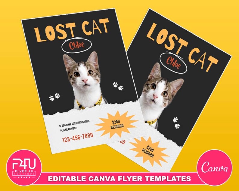Missing Cat Flyer, DIY Canva Missing Cat Templates, Editable Canva US ...