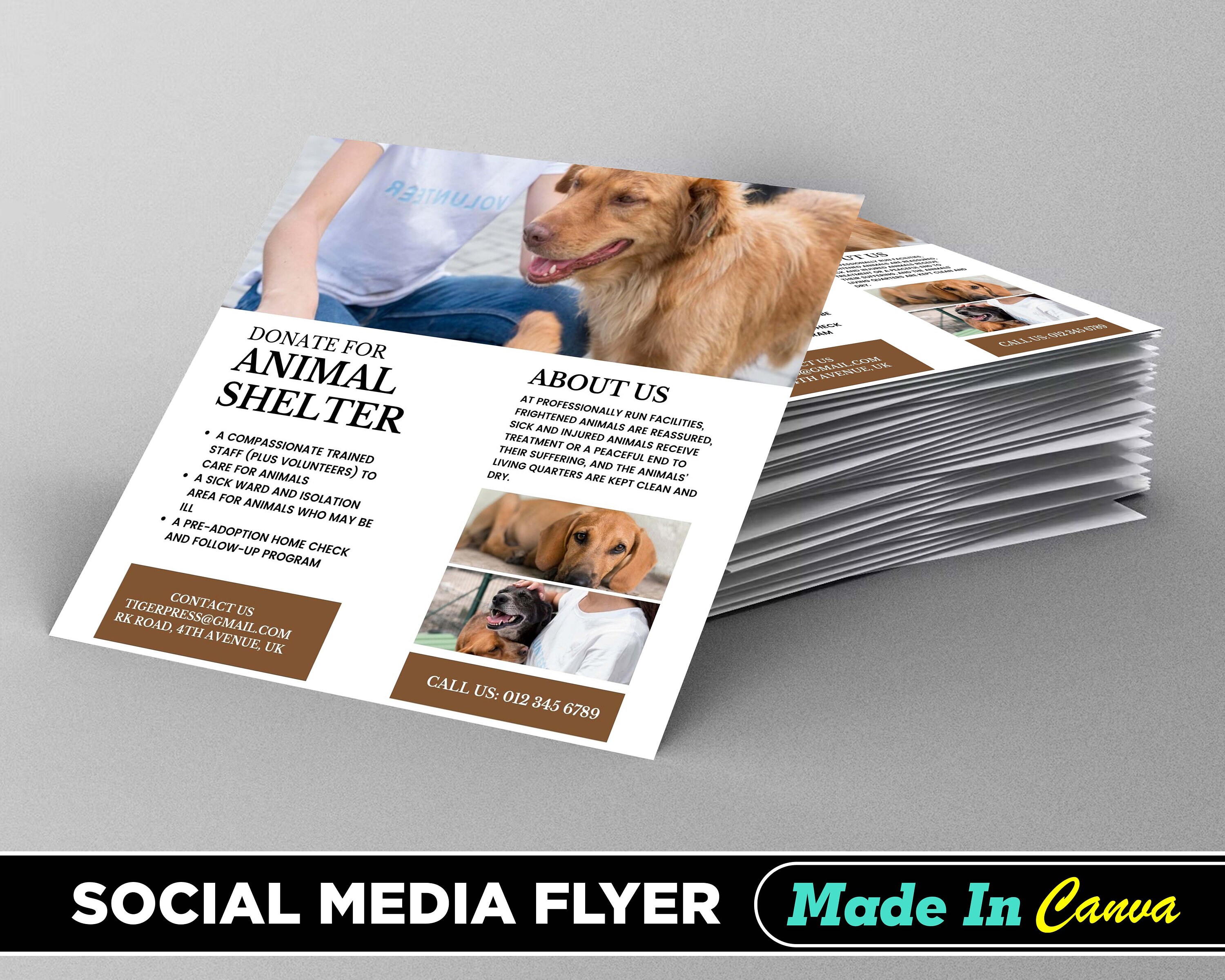 Animal Shelter Flyer, DIY Canva Animal Shelter Flyer Template 2022 ...