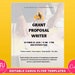 Grant Proposal Writer Flyer, DIY Canva Grant Proposal Writer Flyer ...
