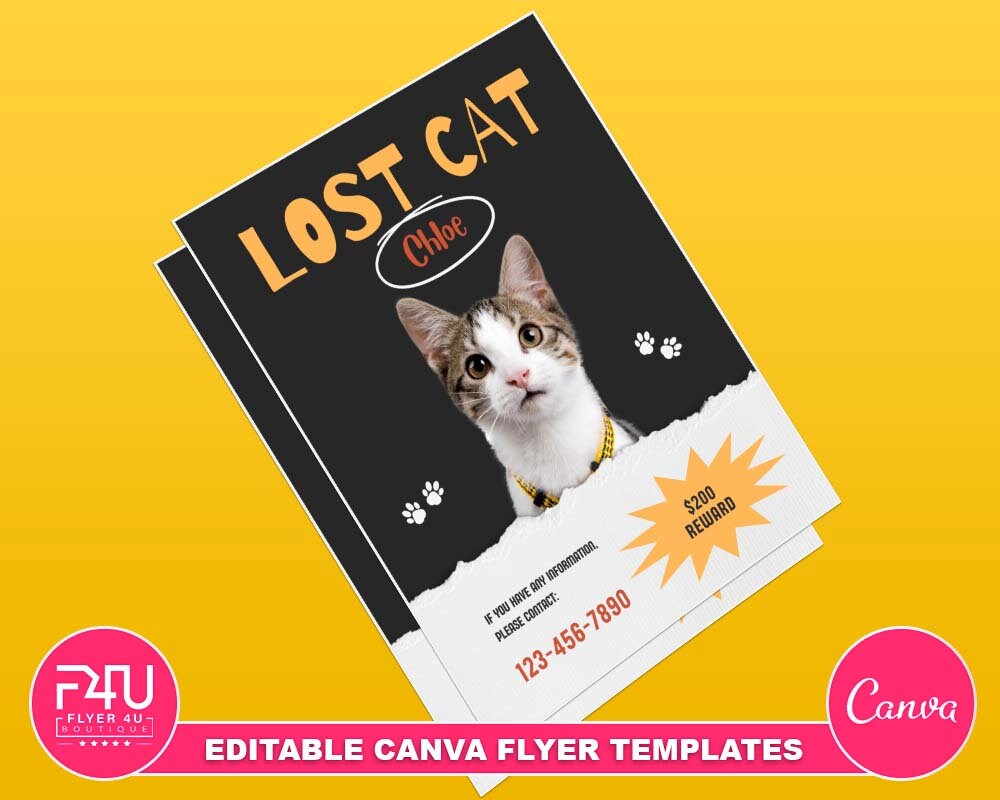 Missing Cat Flyer, DIY Canva Missing Cat Templates, Editable Canva US ...