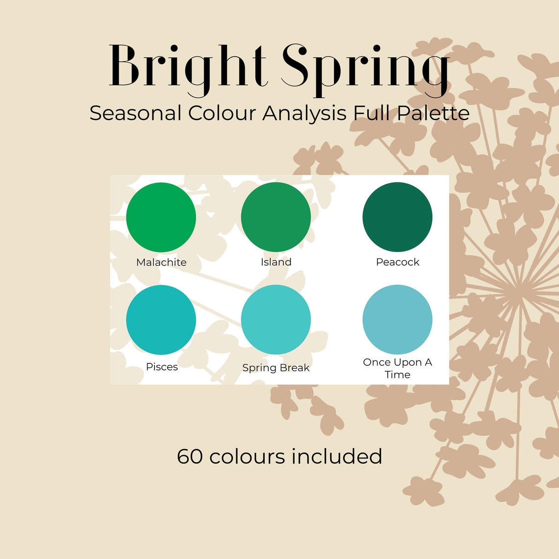 Bright Spring Personal Seasonal Colour Analysis Full Palette - Etsy