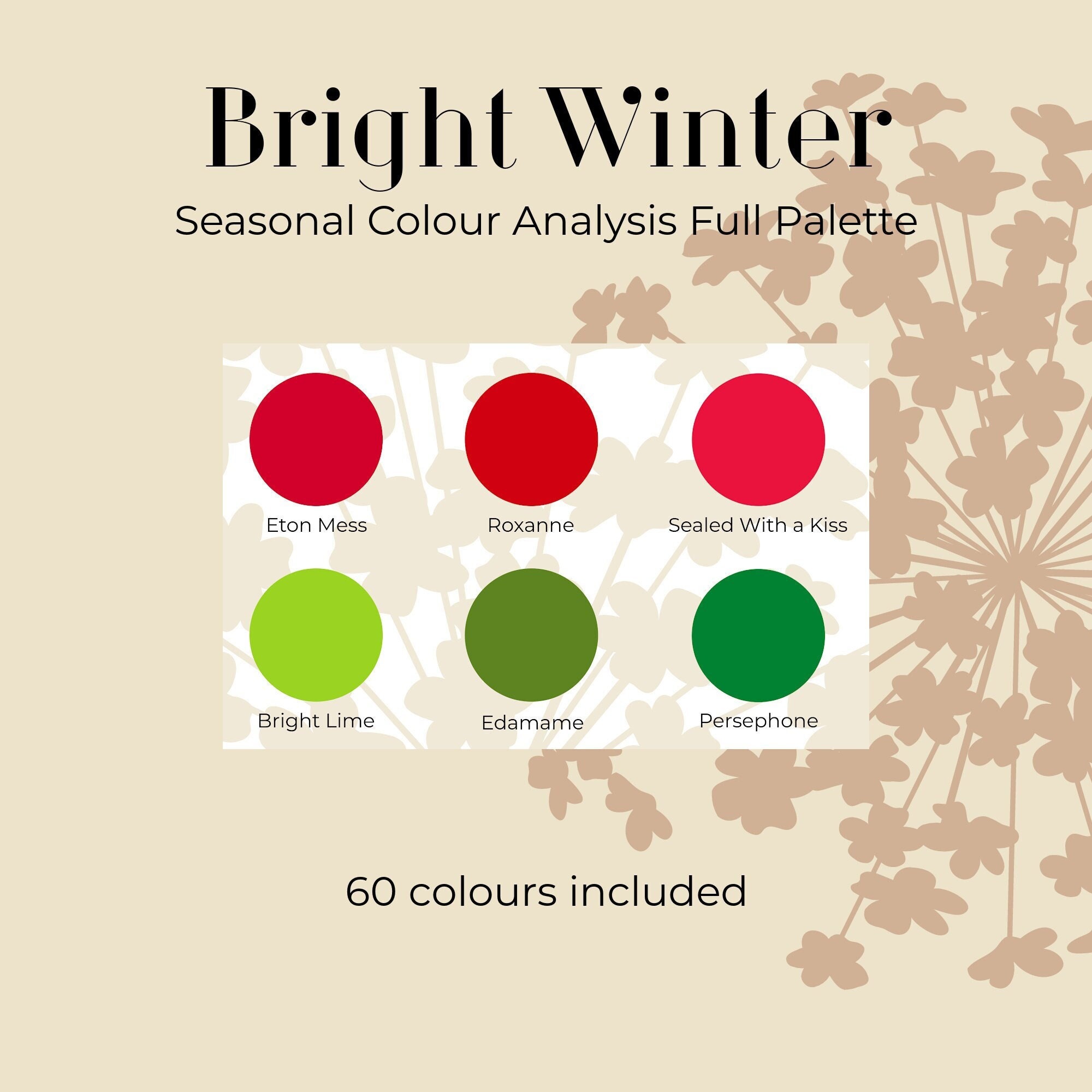 Bright Winter Color Fan