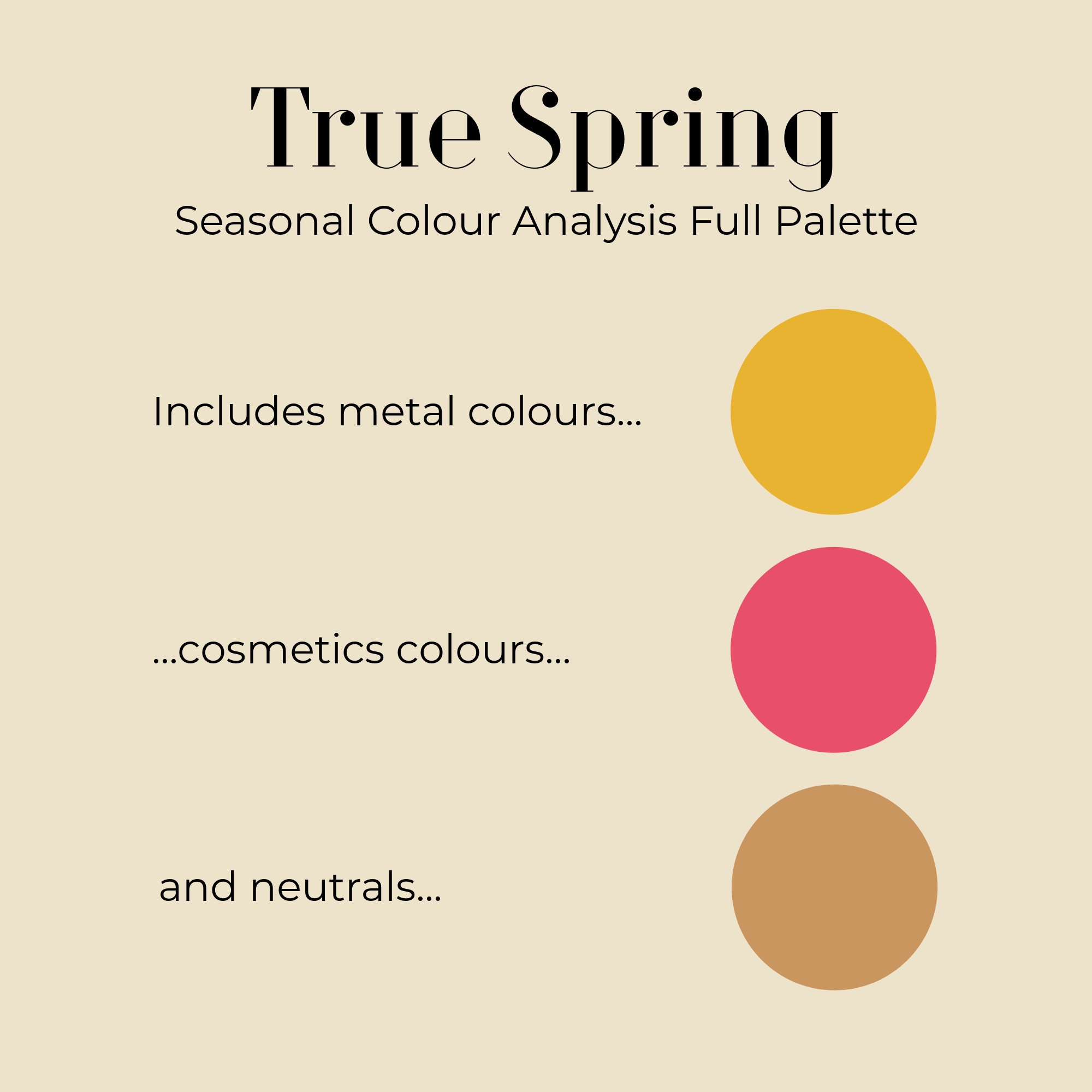 True Spring Personal Seasonal Colour Analysis Full Palette - Etsy