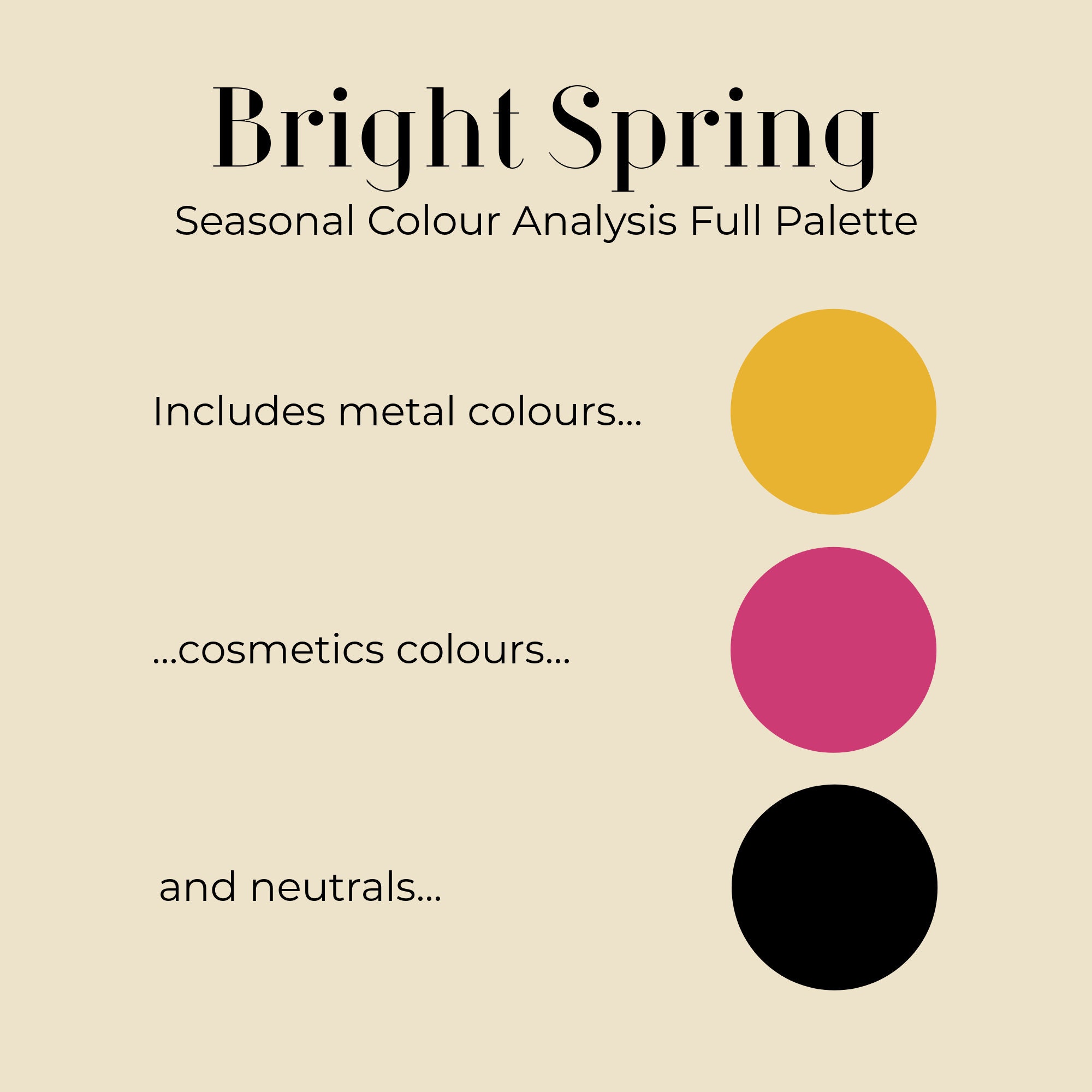 Bright Spring Personal Seasonal Colour Analysis Full Palette - Etsy