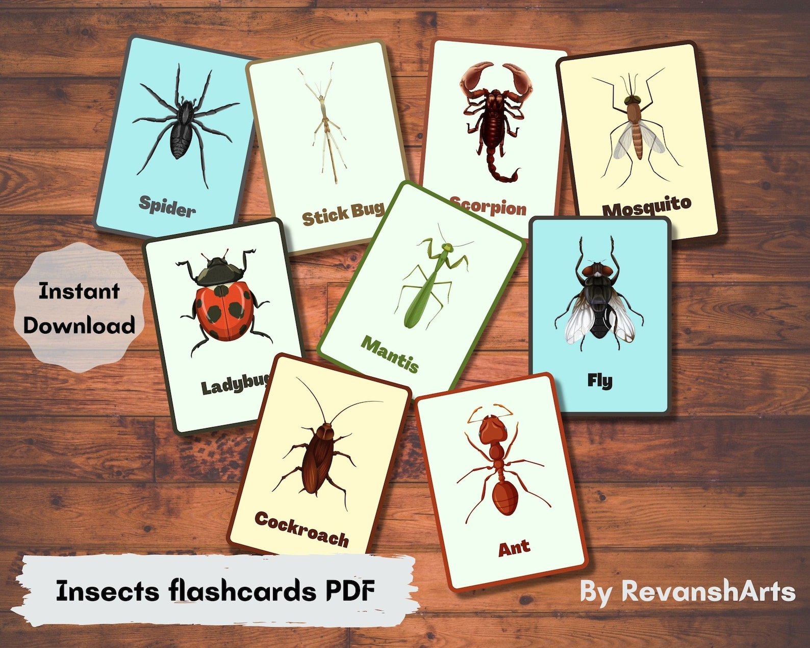 Insects Flashcards Bugs Beetles Montessori Preschool - Etsy
