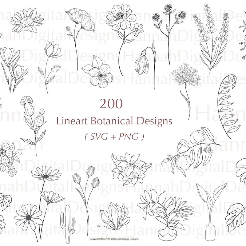 Rose Line Art - Etsy