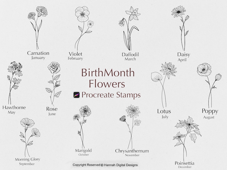 Birth Month Flower Procreate Stamps: Floral Brush Set - Etsy