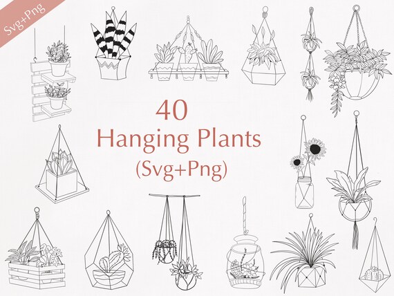 40 Potted Plants Svg Bundle Hanging Plants SVG Bundle SVG - Etsy