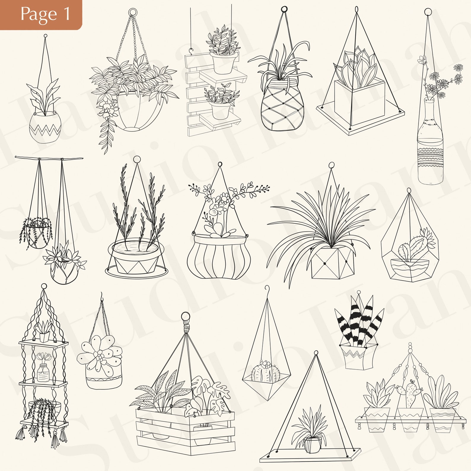 40 Procreate Hanging Plants Stamps Procreate Plants | Etsy UK