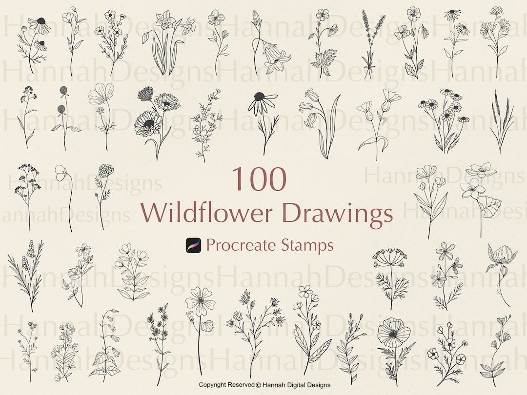 100 Wildflower Procreate Stamps: Botanical Floral Brushset (digital ...