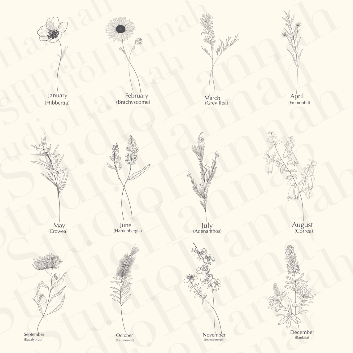 Native Birth Month Flowers Svg Australian Birthmonth Flowers | Etsy Canada