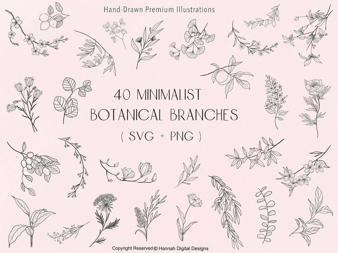 40 Botanical Branches Svg Bundle Flower Svg Floral Svg - Etsy