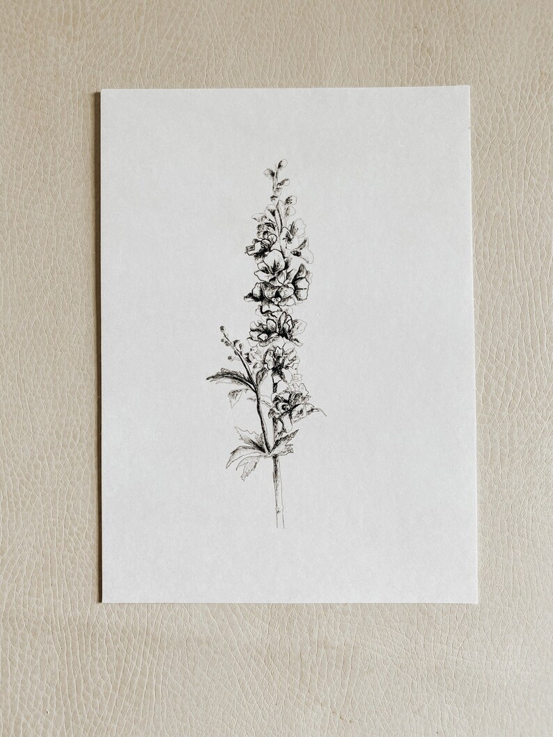 Larkspur July Birth Flower - Etsy