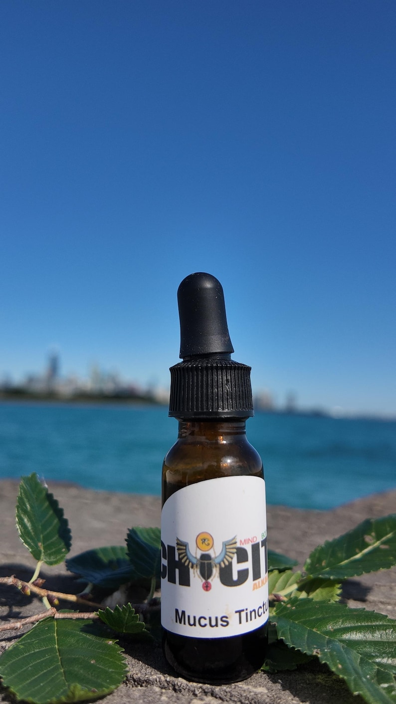 Herbal Mucus Relief Tincture: Natural Respiratory Support - Etsy