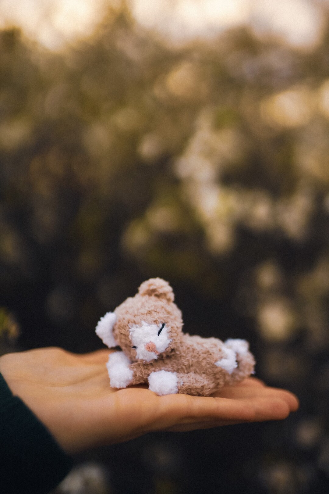 Tiny Plush Kitten Toy, Pocket Pet, Miniature Stuffed Animal, Friend for ...