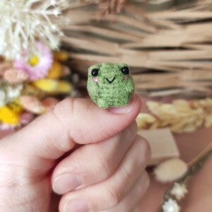 Miniature Kawaii Frog Toy. Tiny Stuffed Plush Froggie. Cute Dollhouse ...