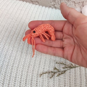 Miniature Emotional Support Shrimp. Cute Mini Gift Prawn. Cheer Up, No ...