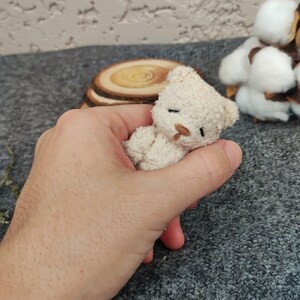 Tiny Teddy Bear Plush Stuffed Toy. Cute Fluffy Miniature Animal. Soft ...