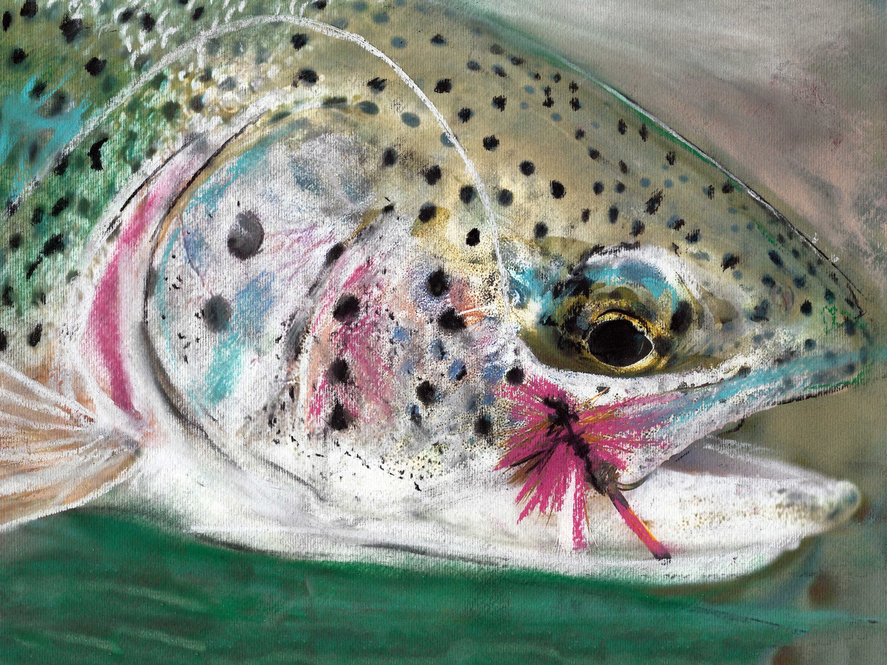 Rainbow Trout Fishing Art Print Watercolour Painting With - Etsy