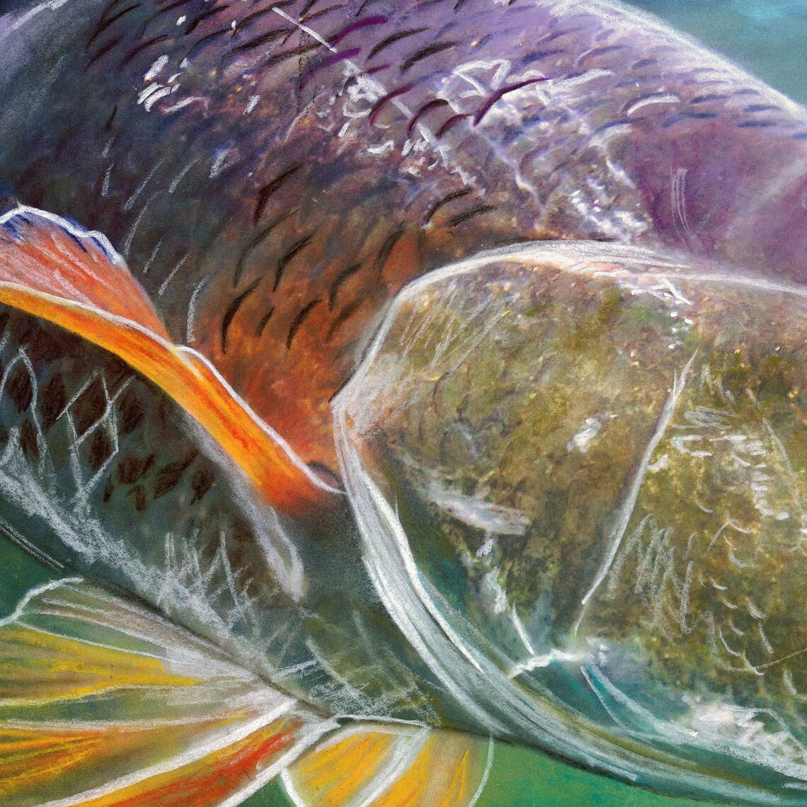 Redfish Wall Art Print Redfish Fishing Artwork Gift Red Drum - Etsy