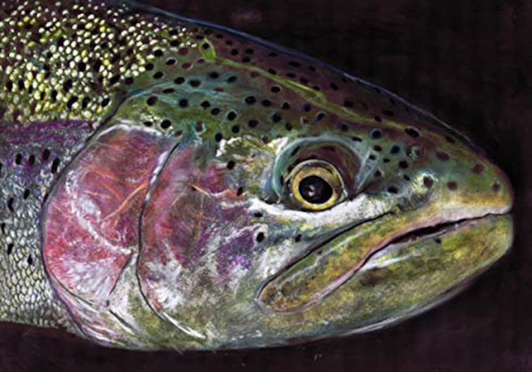 Rainbow Trout Art Fly Fishing Wall Art Print, Hand Signed Steelhead ...