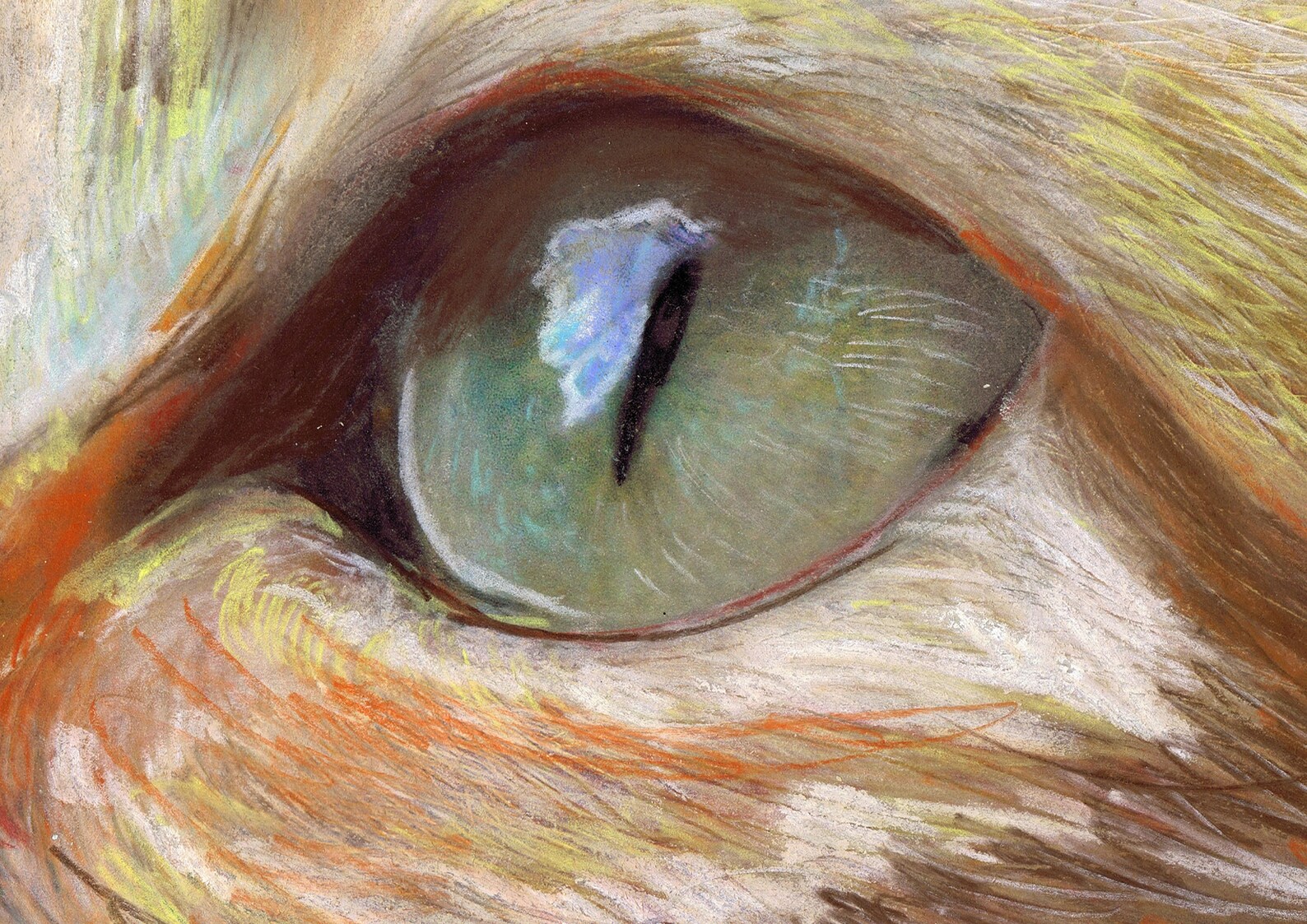 Ginger Tom Cat Owner Gift Realistic Pastel Painting Wall Art - Etsy