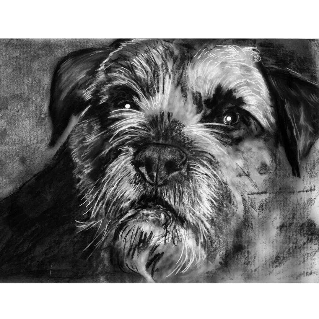 Border Terrier Gift Charcoal Art Print Dog Lover Gift for Her Him ...