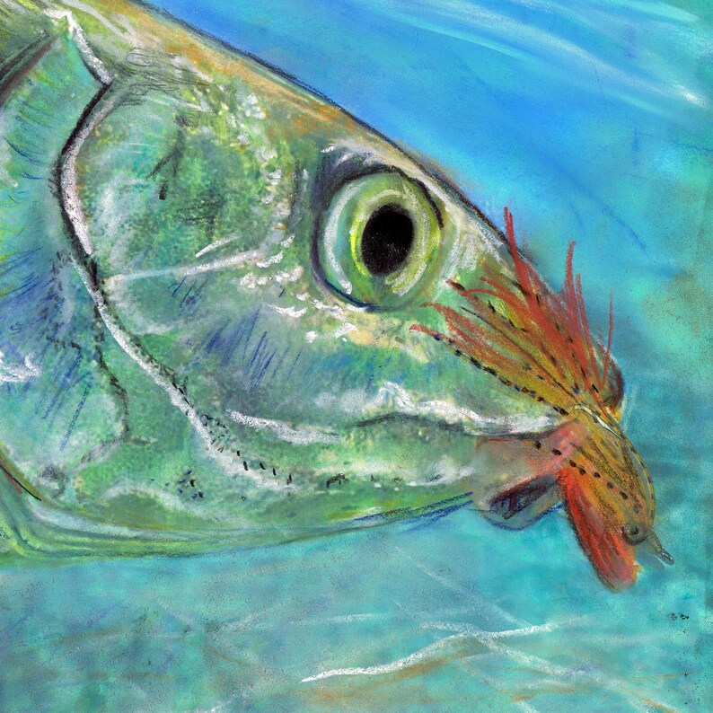 Redfish Tarpon Snook Bonefish Wall Art Prints Fishing Wall - Etsy