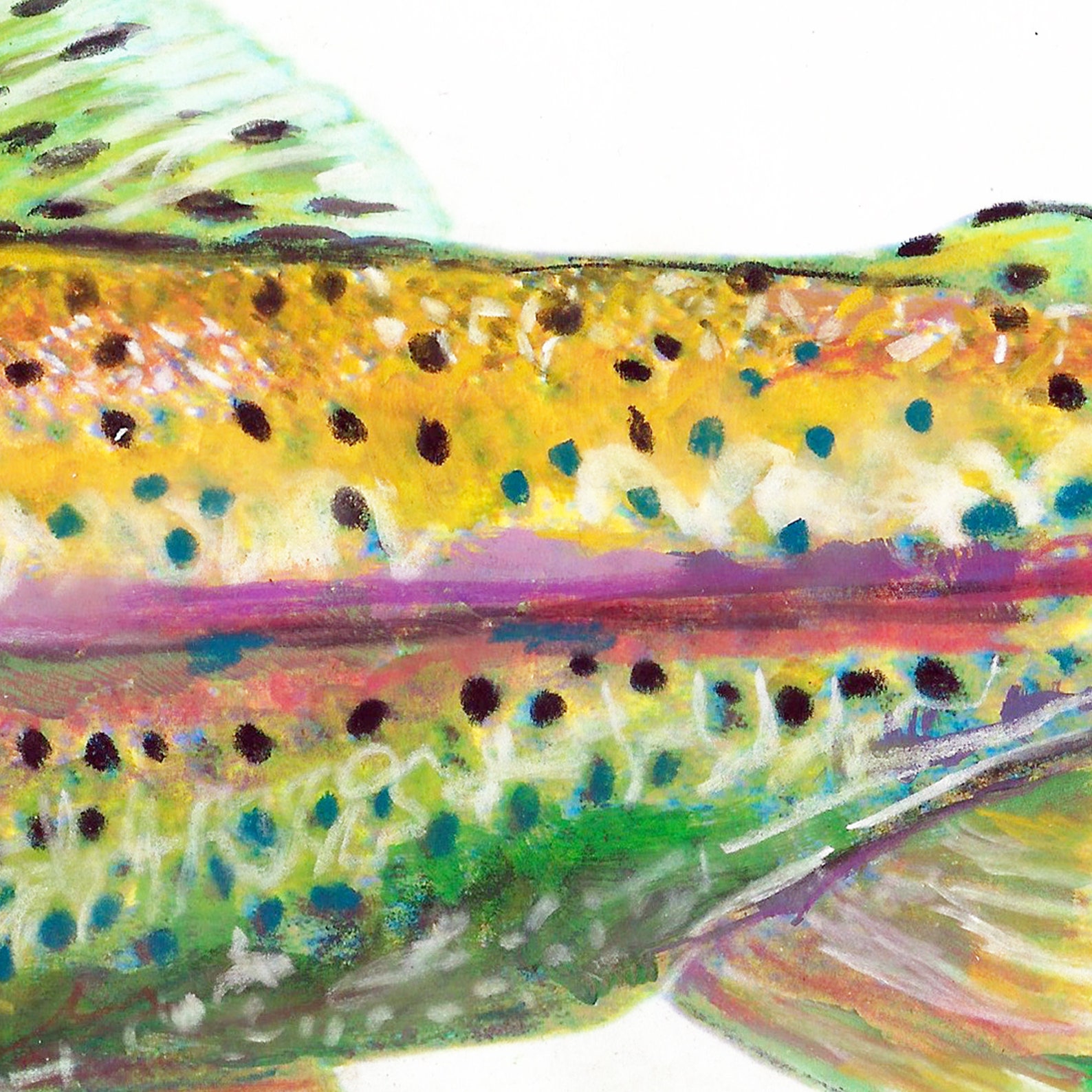 Trout Fishing Pastel Rainbow Trout Wall Art Print Colourful - Etsy