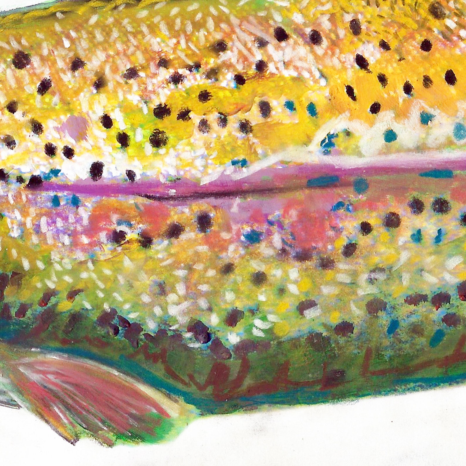 Trout Fishing Pastel Rainbow Trout Wall Art Print Colourful - Etsy