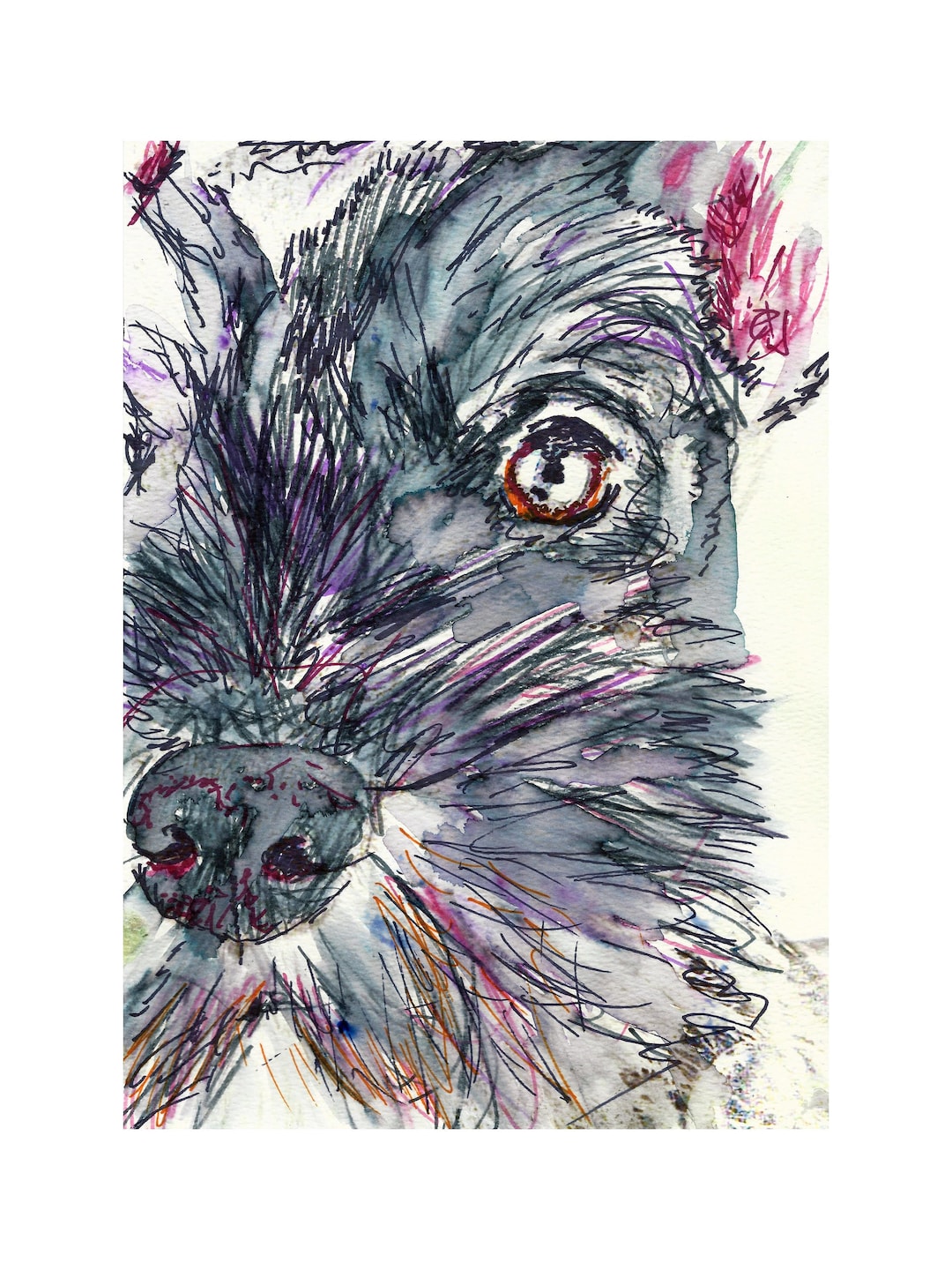 Schnauzer Wall Art Print Colourful Dog Painting, Schnauzer Pen and ...