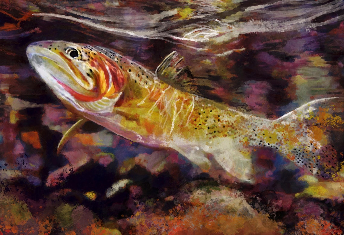 Four Wild Trout Abstract Art Prints Fly Fishing Gift fly - Etsy