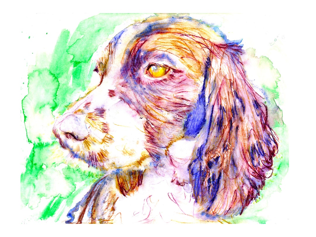 Springer Spaniel Watercolour Painting Print English Welsh Springer Wall ...