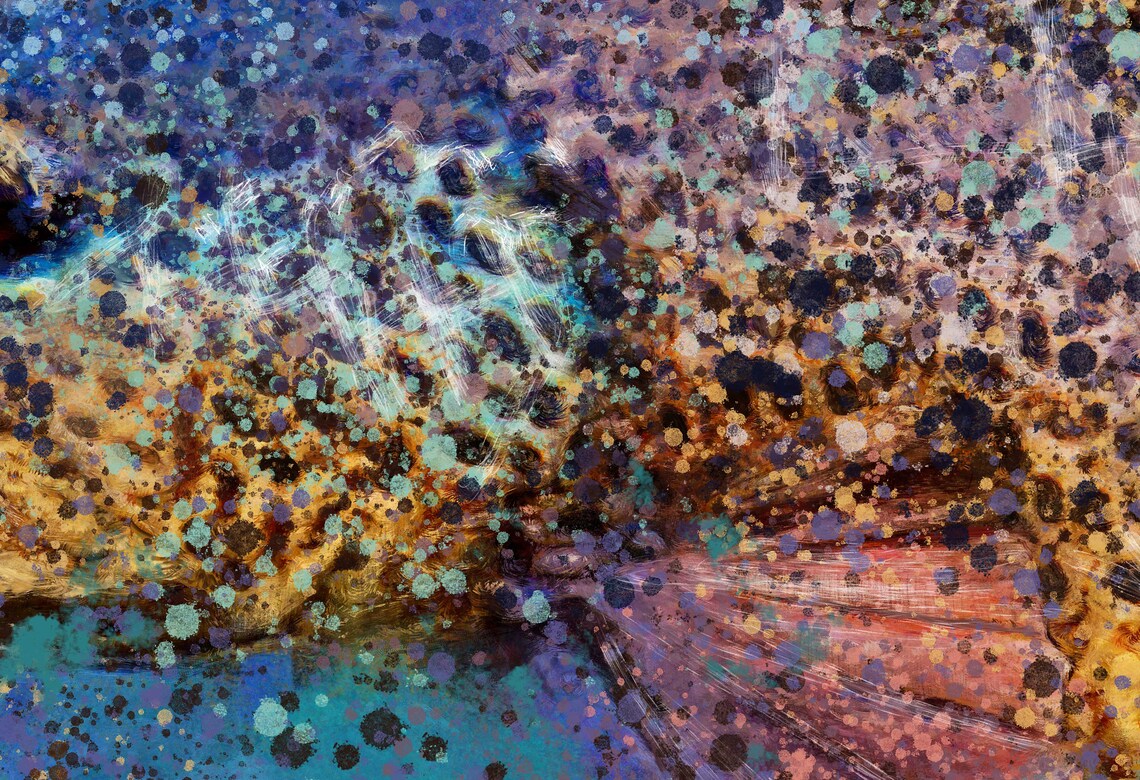 Abstract Modern Brown Trout SPLASH Fishing Art Print Fishing - Etsy