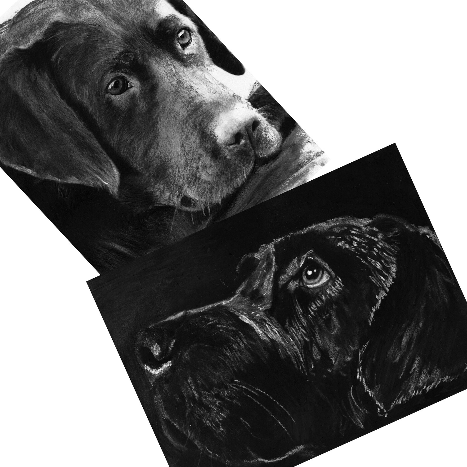 Black Labrador Retriever Wall Art Prints Dog Memorial Gift - Etsy